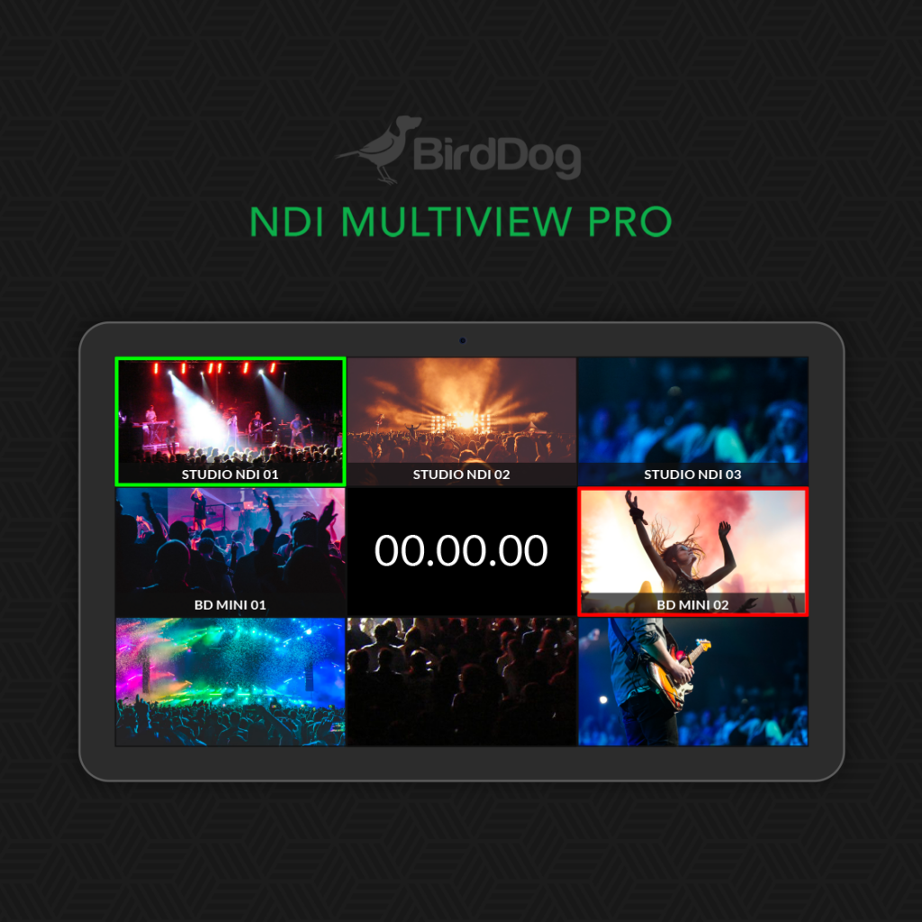 BIRDDOG NDI MULTIVIEW PRO | Wisdom Integrators (Cozort LLC)